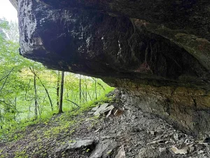 Off-Grid Ozarks Retreat with Creek & Scenic Cabin Site – STORY OF THE DAY