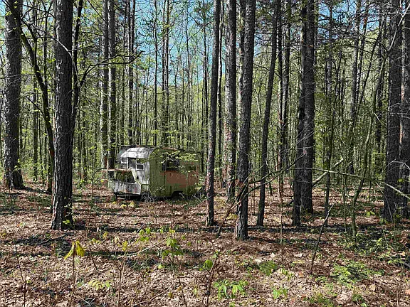 Off-Grid Ozarks Retreat with Creek & Scenic Cabin Site – STORY OF THE DAY